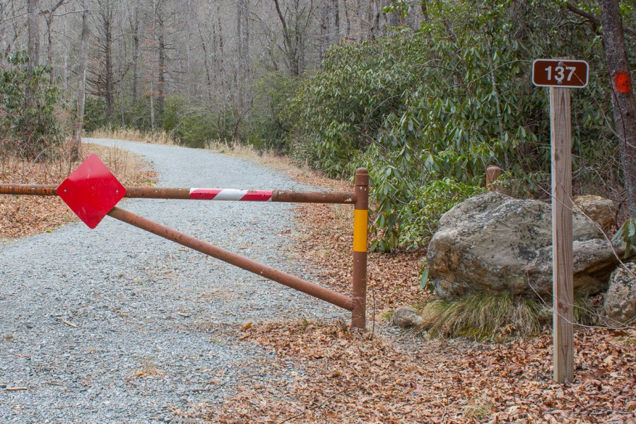 Meanderthals | Daniel Ridge Loop Trail, Pisgah National Forest