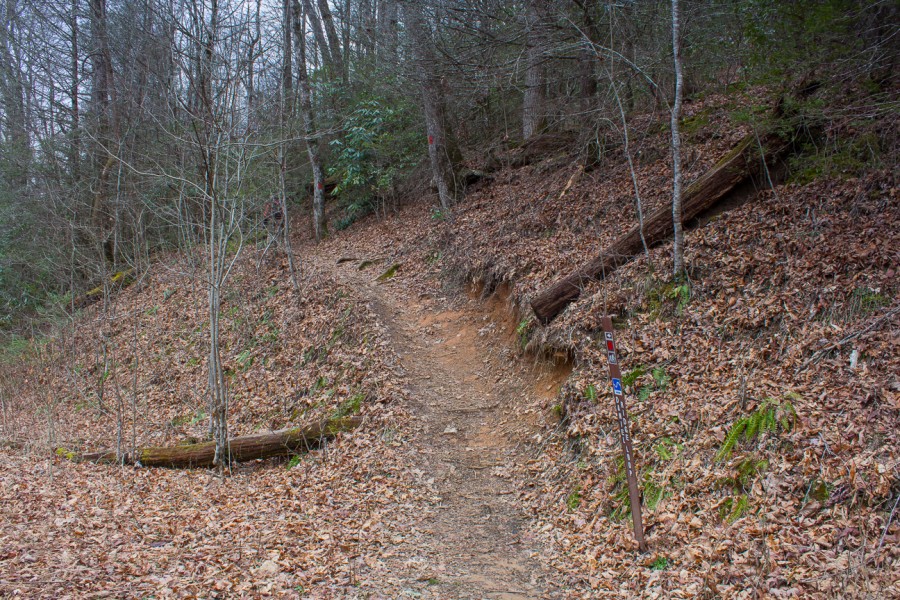 Meanderthals | Daniel Ridge Loop Trail, Pisgah National Forest