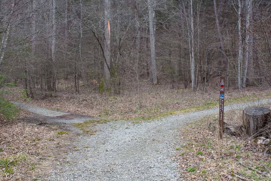 Meanderthals | Daniel Ridge Loop Trail, Pisgah National Forest