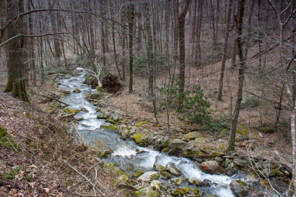 Meanderthals | Daniel Ridge Loop Trail, Pisgah National Forest