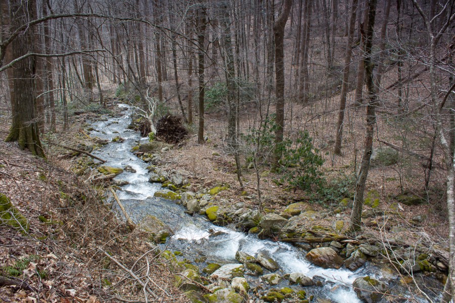 Meanderthals | Daniel Ridge Loop Trail, Pisgah National Forest