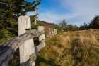 Meanderthals | Appalachian Trail on Grassy Ridge, Roan Highlands