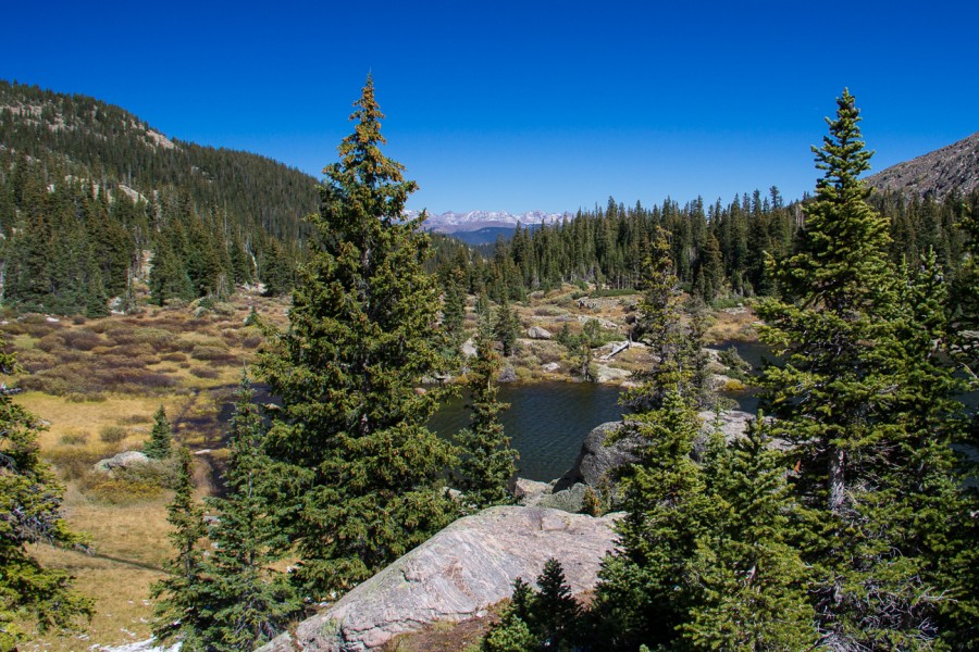 Meanderthals | Fall Creek Trail to Lake Constantine, Holy Cross Wilderness