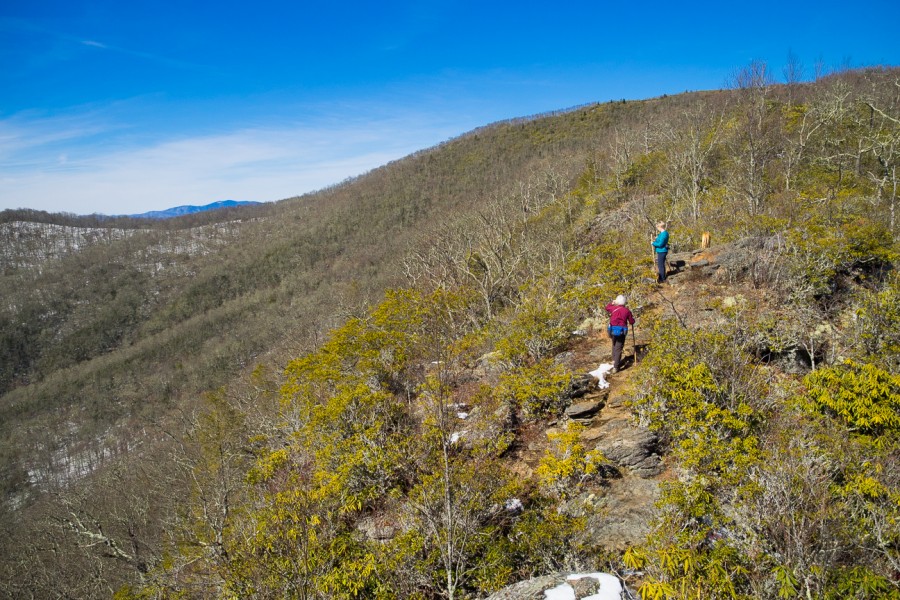 Meanderthals | The Pinnacle Trail at Pinnacle Park, Nantahala National ...