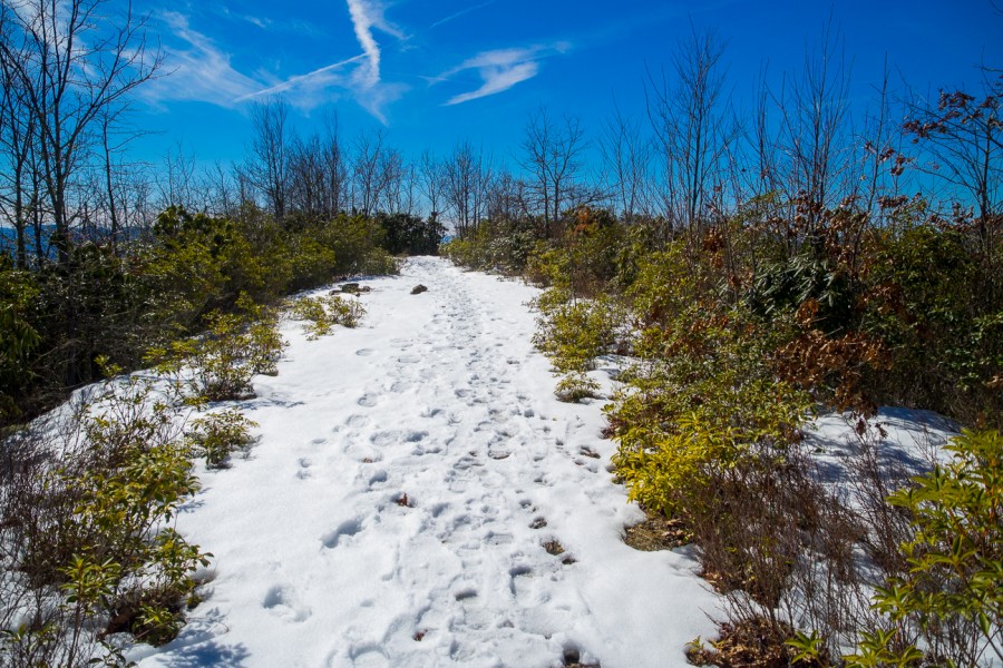 Meanderthals | The Pinnacle Trail at Pinnacle Park, Nantahala National ...