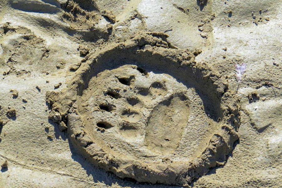 Meanderthals | Dave Landreth – Griztrax (Part 1)