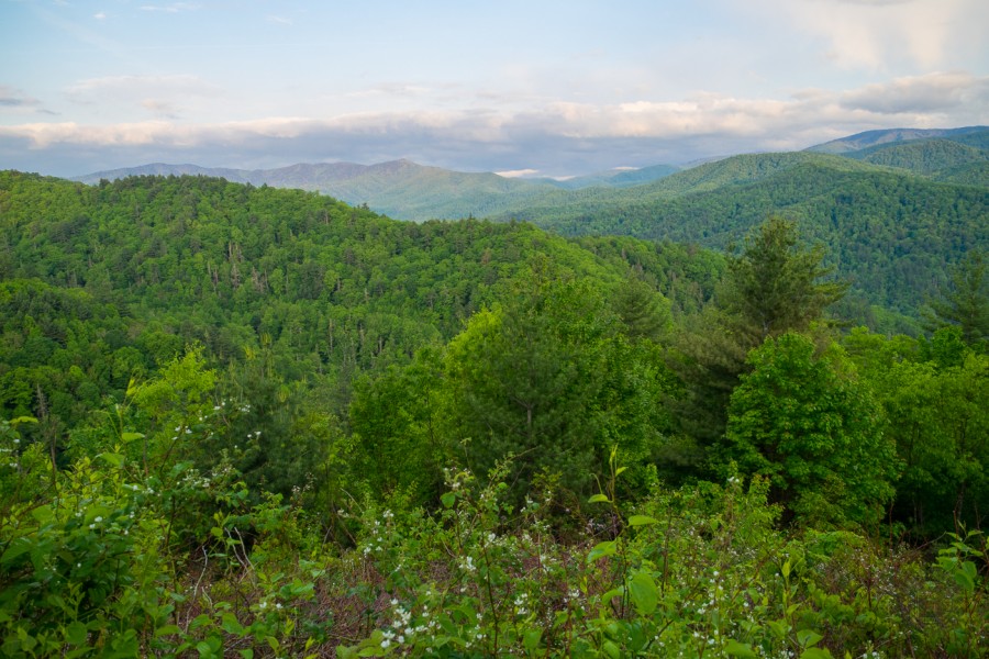 Meanderthals | Cataloochee Valley, Great Smoky Mountains National Park