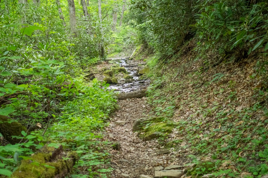 Meanderthals | Little Cataloochee Trail, Great Smoky Mountains National ...