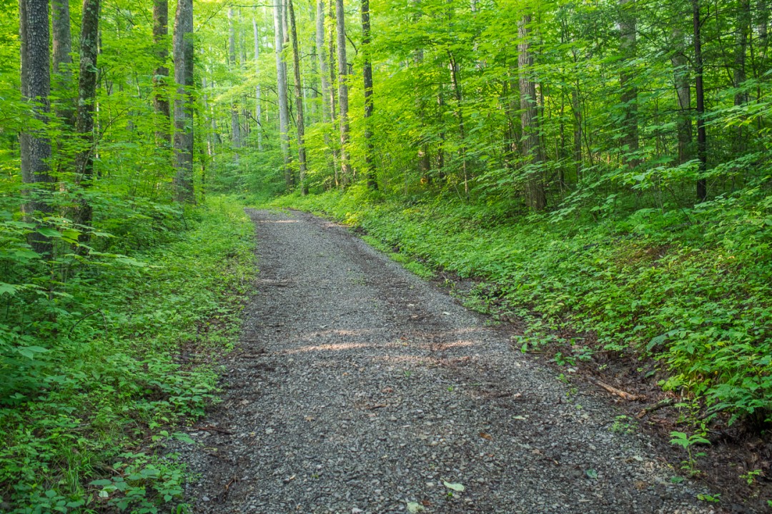 Meanderthals | Snake Den Ridge Trail and Appalachian Trail to Inadu ...