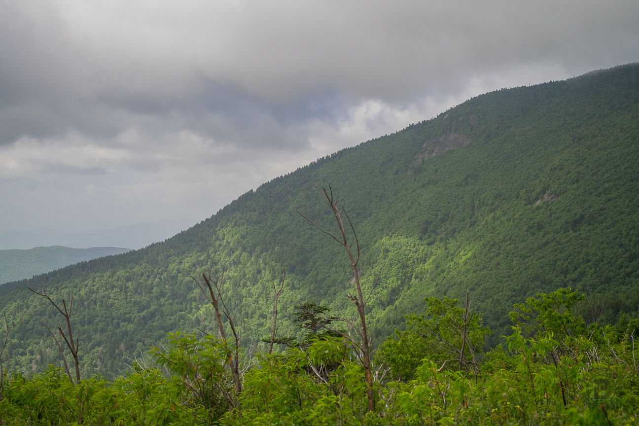 Meanderthals | Mt. Mitchell State Park Trail System