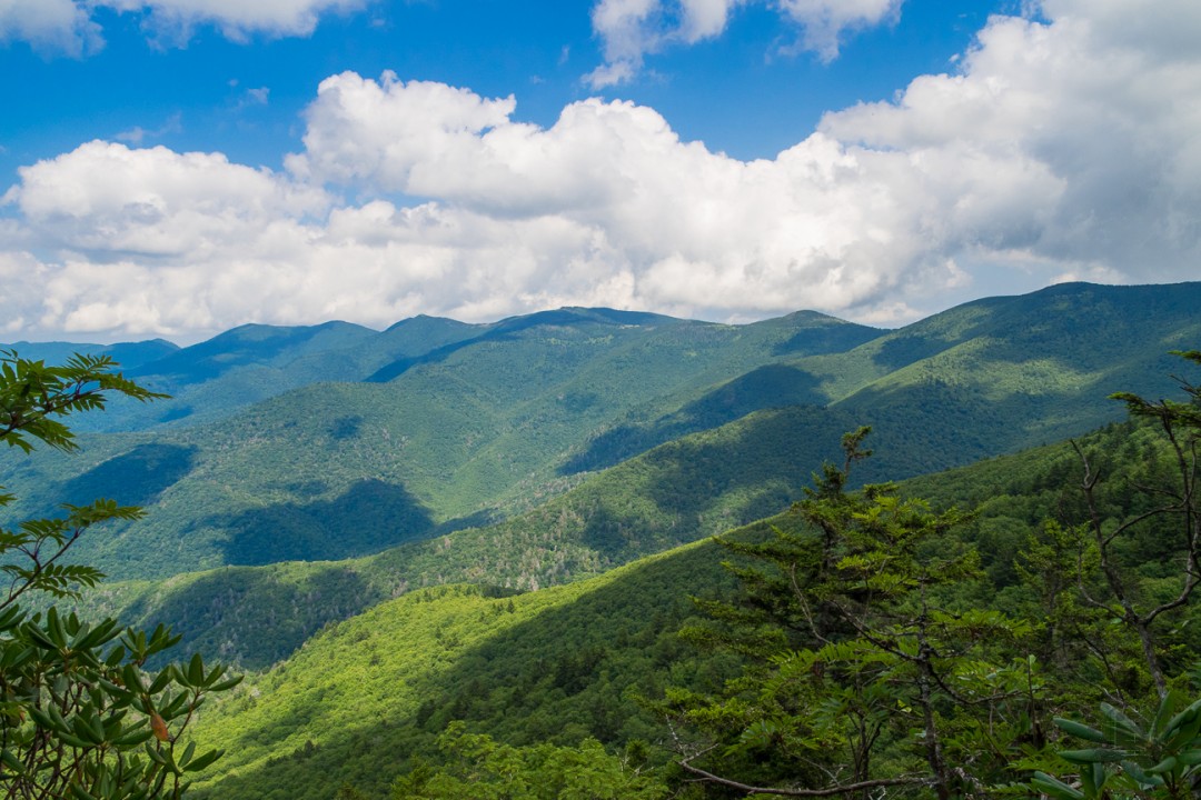 Meanderthals | Mountains to Sea Trail Over Blackstock Knob to Balsam ...