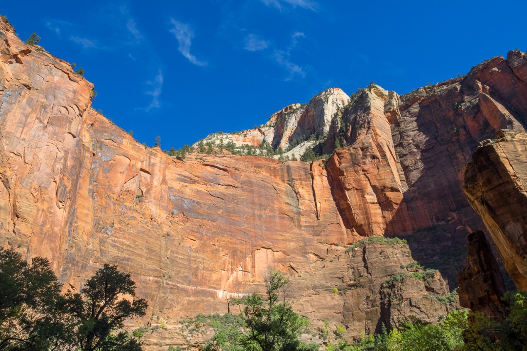 Meanderthals | Observation Point Trail, Zion National Park