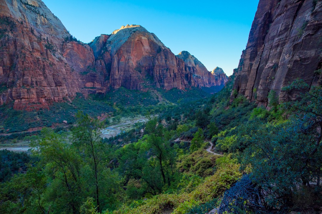 Meanderthals | Angels Landing and West Rim Trail, Zion National Park