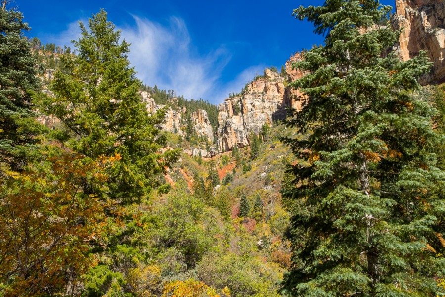 Meanderthals | North Kaibab Trail on North Rim, Grand Canyon National Park