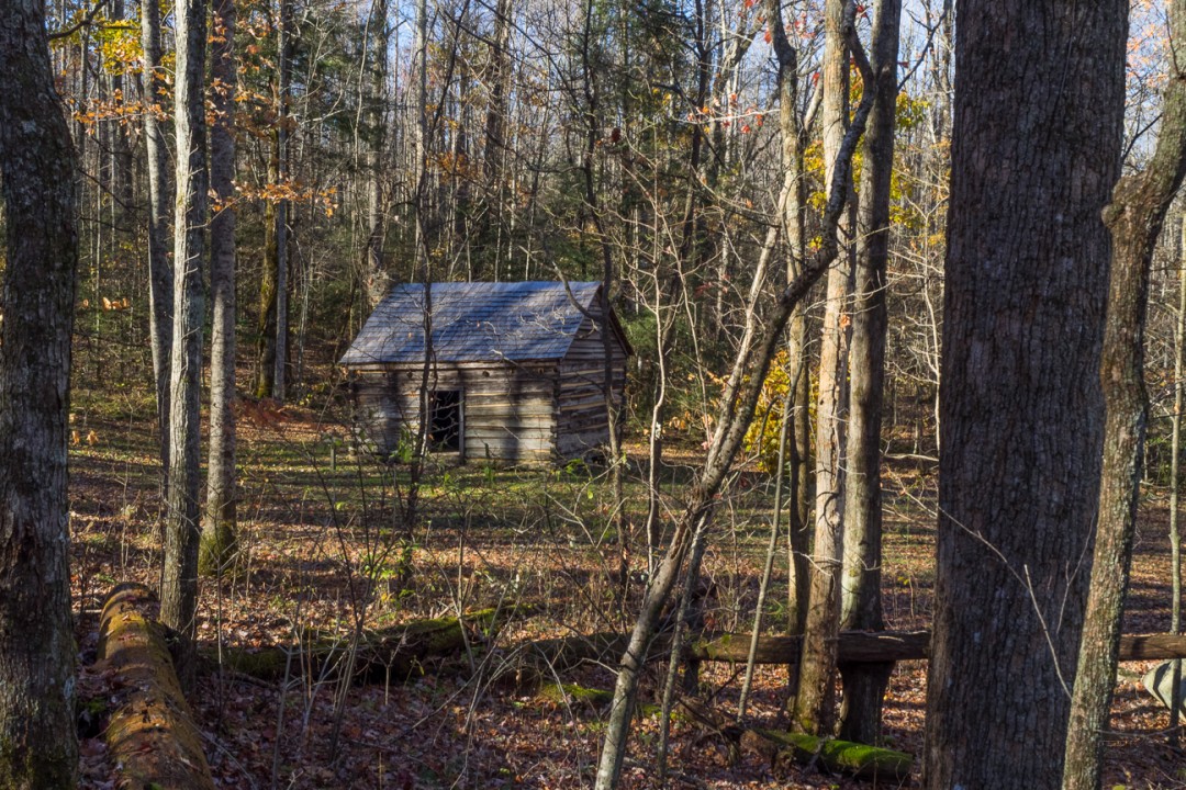 Meanderthals | Maddron Bald Trail to Albright Grove, Great Smoky ...