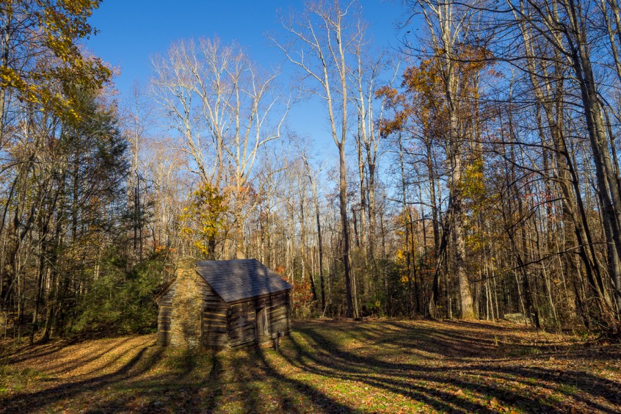 Meanderthals | Maddron Bald Trail to Albright Grove, Great Smoky ...