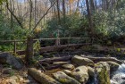 Meanderthals | Maddron Bald Trail to Albright Grove, Great Smoky ...