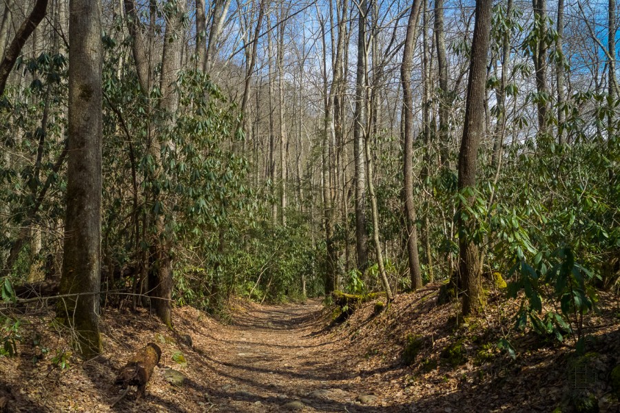 Meanderthals | Big Creek Trail to Mouse Creek Falls, Great Smoky ...