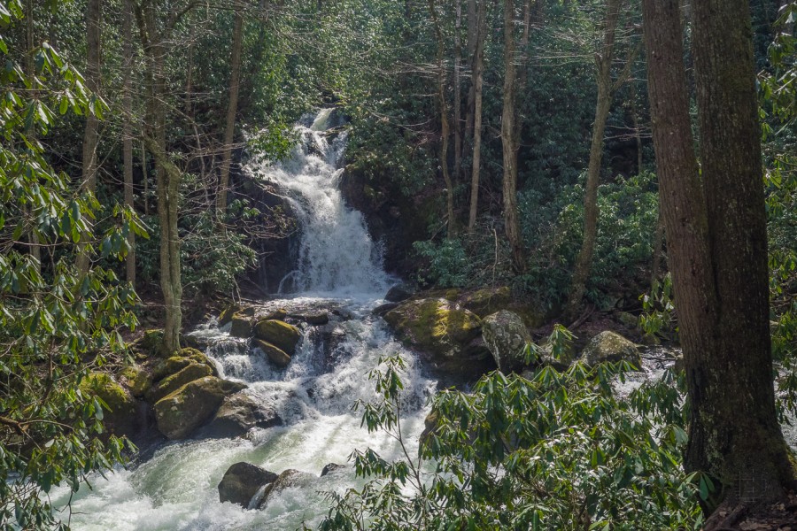 Meanderthals | Big Creek Trail to Mouse Creek Falls, Great Smoky ...