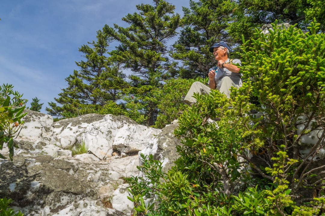 Meanderthals | Ivestor Gap Trail to Shining Rock, Shining Rock Wilderness