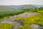 Meanderthals | Black Balsam Knob and Sam Knob Summits, Pisgah National ...