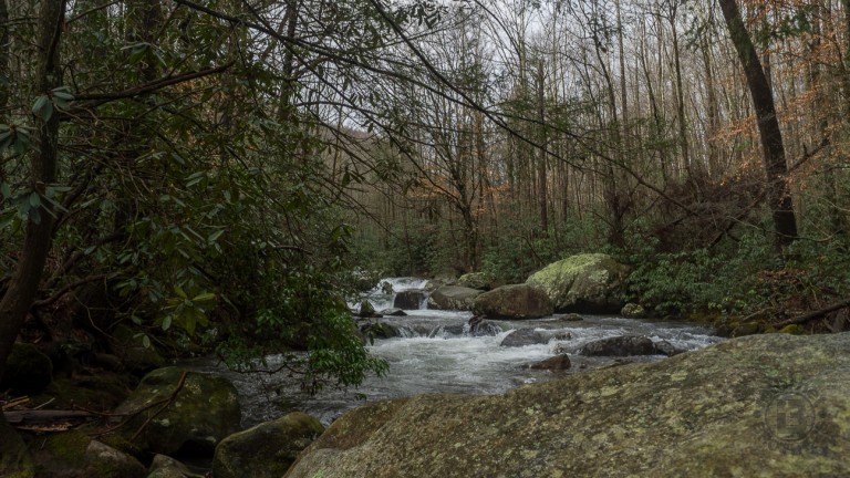 Meanderthals | Jones Gap Trail to Rainbow Falls, Jones Gap State Park