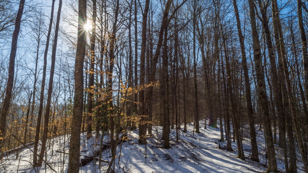 Meanderthals | Thomas Divide Trail to Sunkota Ridge Junction, Great ...