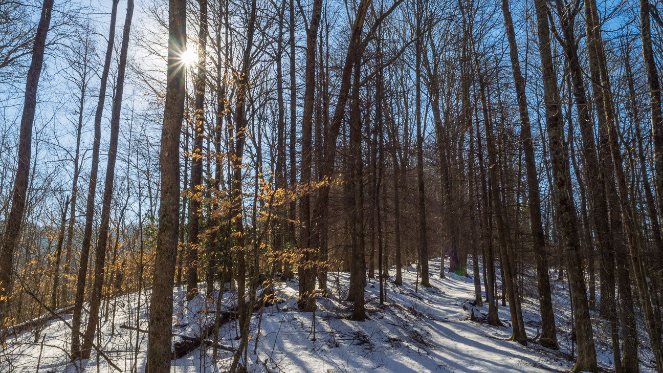 Meanderthals | Thomas Divide Trail to Sunkota Ridge Junction, Great ...