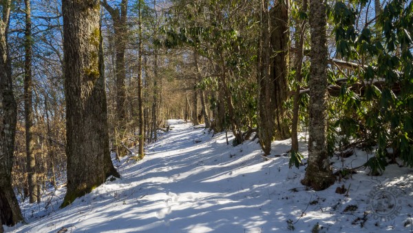 Meanderthals | Thomas Divide Trail to Sunkota Ridge Junction, Great ...