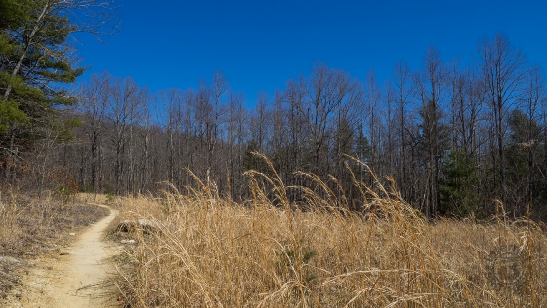 Meanderthals | Ridgeline Trail to Hickory Mountain Loop, DuPont State ...