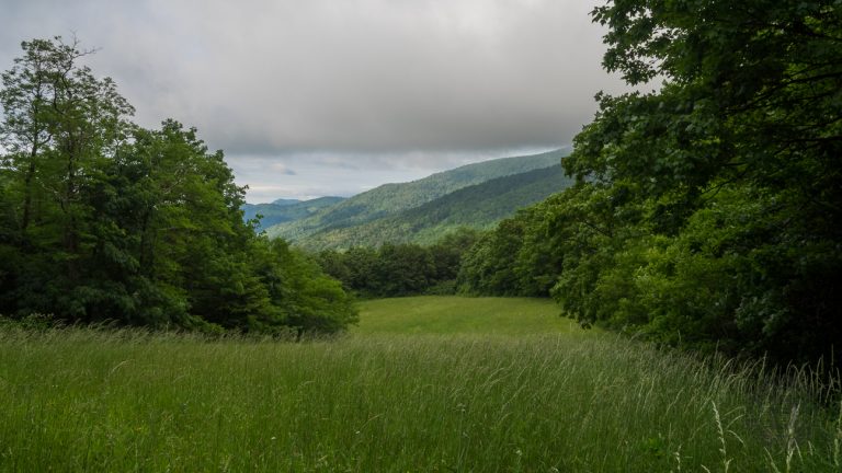 Meanderthals | Appalachian Trail from Yellow Mountain Gap to Little ...