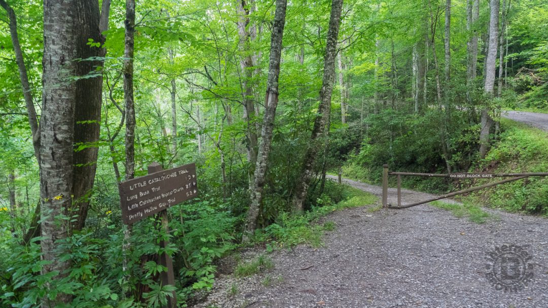 Meanderthals | Long Bunk Trail at Cataloochee, Great Smoky Mountains ...