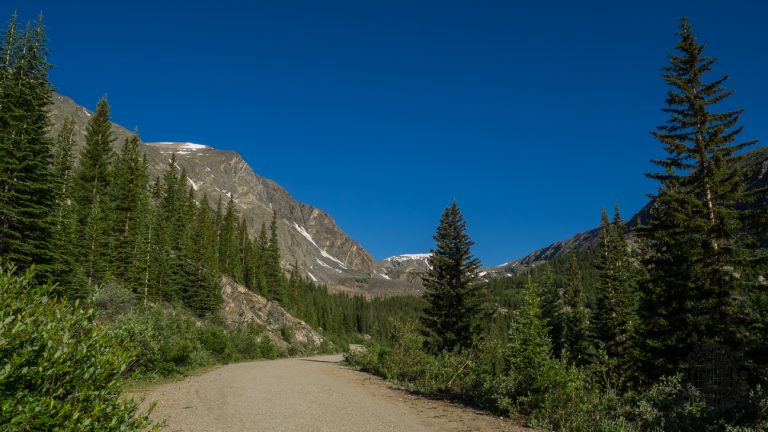 Meanderthals | McCullough Gulch Trail, White River National Forest