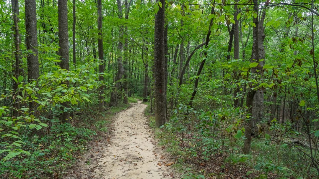 Meanderthals | Raven Cliff Falls and Gum Gap Trails, Mountain Bridge ...
