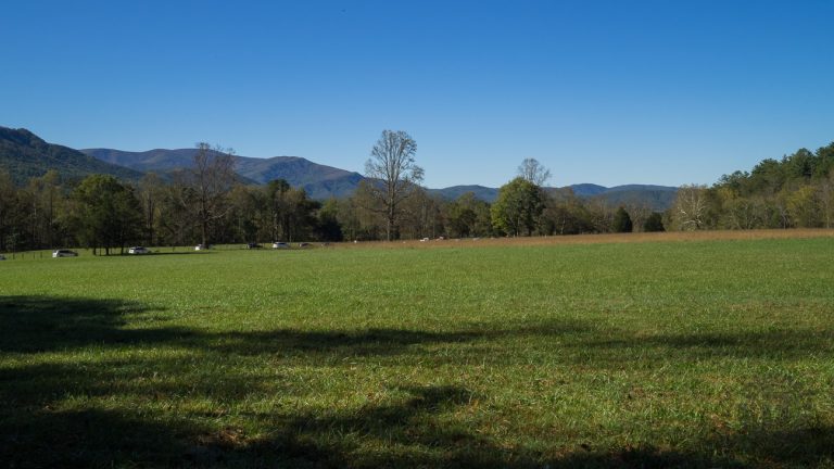Meanderthals | Rich Mountain Loop at Cades Cove, Great Smoky Mountains ...