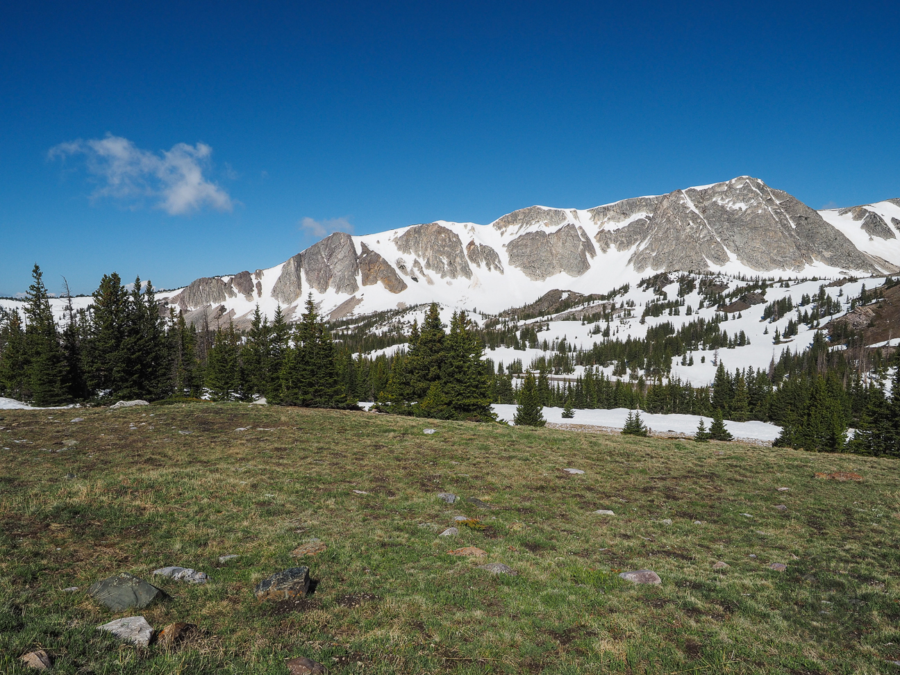 Meanderthals | Snowy Range Scenic Byway, Medicine Bow National Forest ...