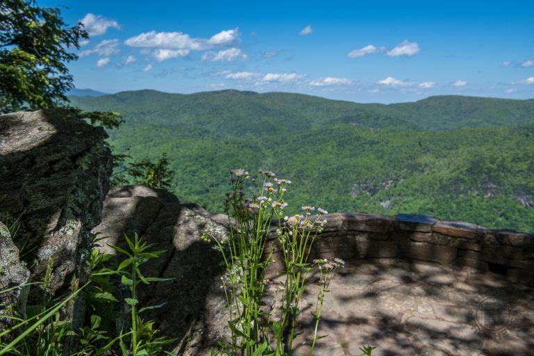 Meanderthals | Linville Falls, Blue Ridge Parkway